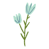 Slow Pedagogy – Slow Pedagogy is a space where education unfolds slowly ...